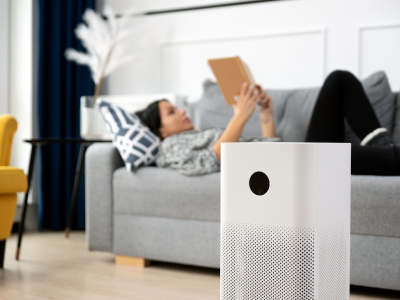 Do Air Purifiers Really Help with Allergies in Covington, LA?